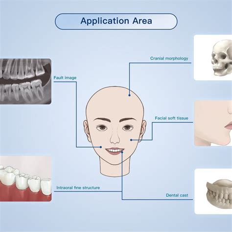 Selection Schemes For 3d Reconstruction Technology In Different Download Scientific Diagram