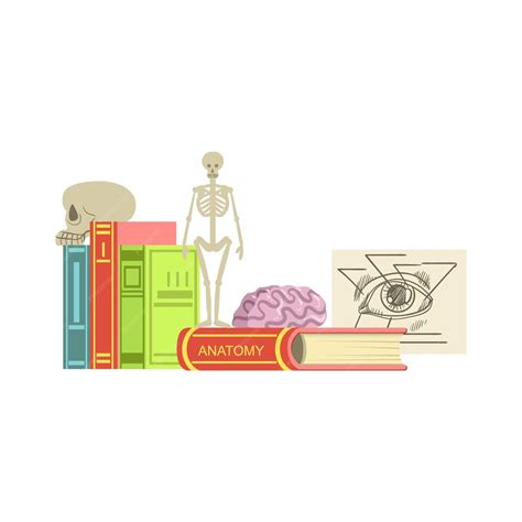 Ensemble D Objets De Classe D Anatomie Vecteur Premium