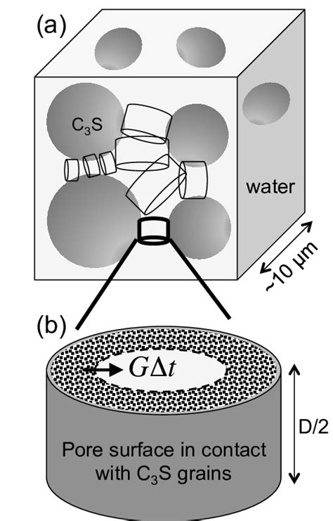 A Suspension Of Cement Grains In Water And Discretisation Of The