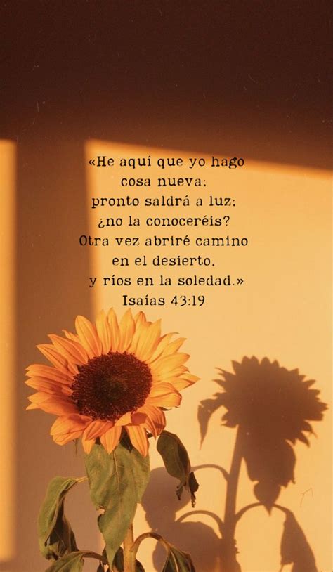 Isaías 4319 Frases Bonitas