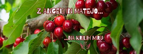 Čiščenje Blokad Damjan Lahko Delite