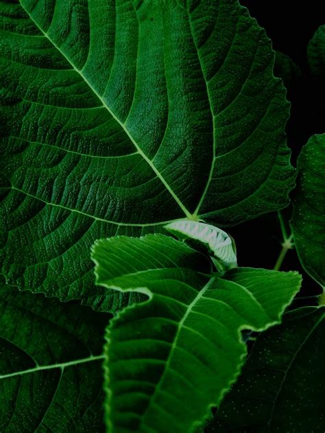 Light Editing Sam A12 Which Is Best Samsung Members