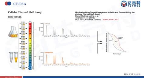 Cetsams（tpp）：四大前沿案例揭示药物靶点发现新路径 Csdn博客