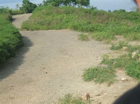 digital image processing activities image retrieval using histogram