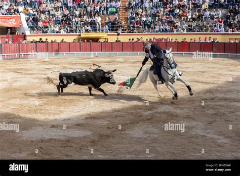 March 26 2023 Lisbon Portugal Tourada Mature Bullfighter On