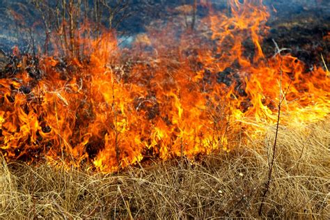 Grass Fires 3700513 Clipart Library