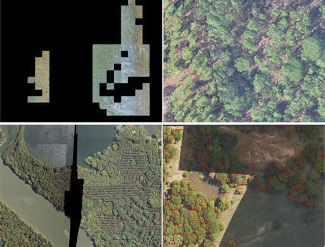 Figures And Data In A Remote Sensing Derived Data Set Of 100 Million Individual Tree Crowns For