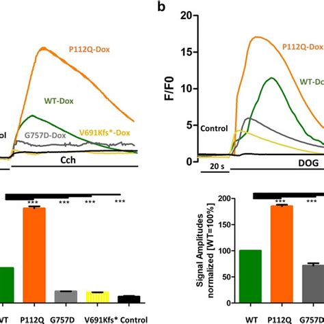 Functional Characterization Of Disease Related Trpc6 Mutants In Calcium