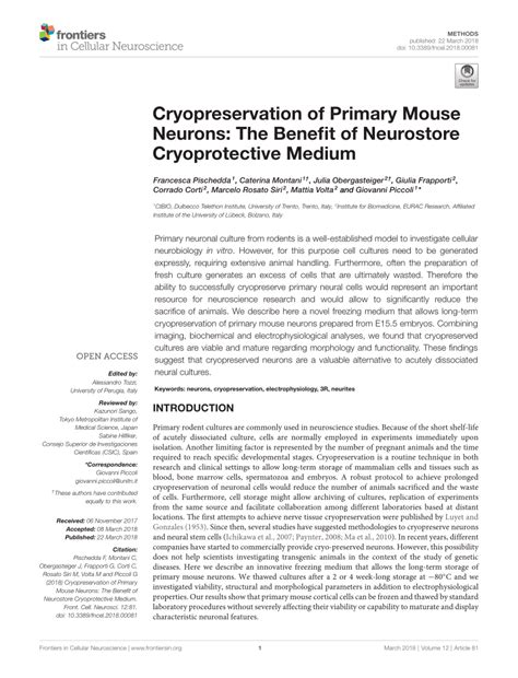 Pdf Cryopreservation Of Primary Mouse Neurons The Benefit Of
