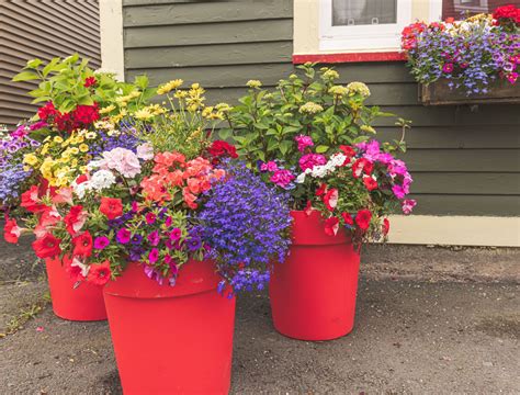 How To Use Buckets As Planters In Your Container Garden