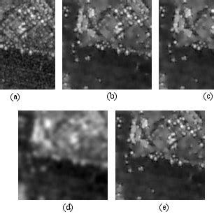 PDF Speckle Reducing Anisotropic Diffusion