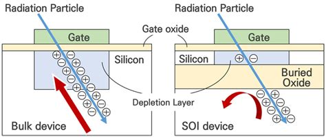 Effects Of Particle Radiation On Soi And Bulk Device Structures
