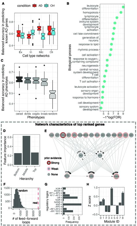 Ad Gene Prioritization And Clinical Phenotype Prediction Using