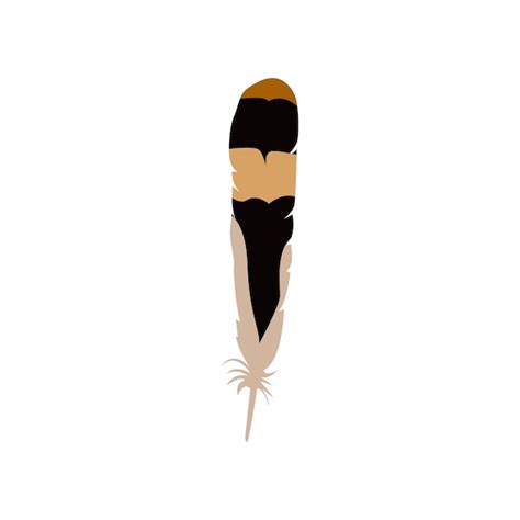 Premium Vector Peacock Feather Illustration