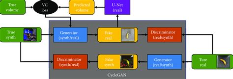 The Proposed Volumetrically Consistent Cyclegan Vcc Using Our Real Download Scientific