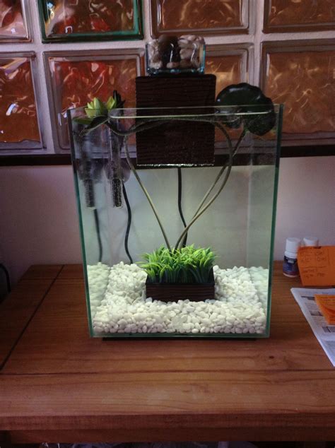 Fluval Chi Aquarium Replacement Parts