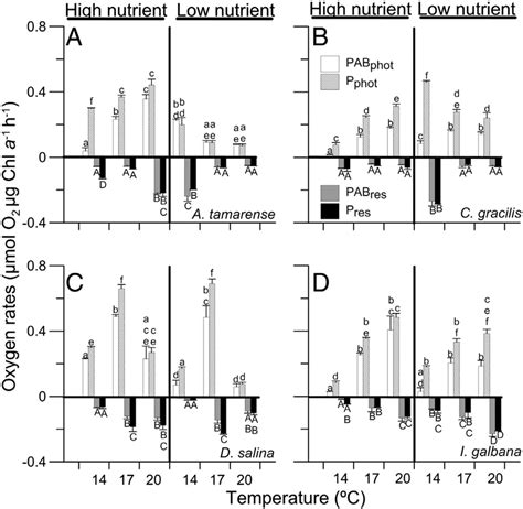 Rates In μmol O 2 μg Chl A −1 H −1 Of Photosynthesis Positive