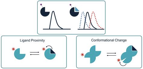 Spectral Shift Services 2bind