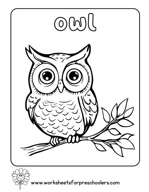 Owl Coloring Pages For Preschoolers