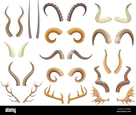 Animal Horns And Antlers Antelope Ram Moose Reindeer Horn Wild