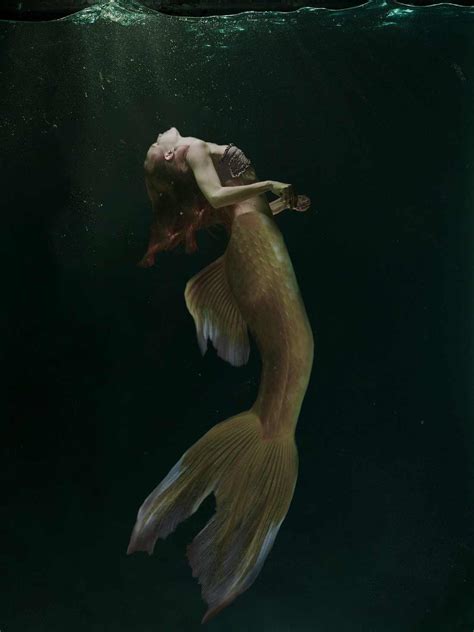 12 Mermaid Sightings You Wont Believe Ocean Info