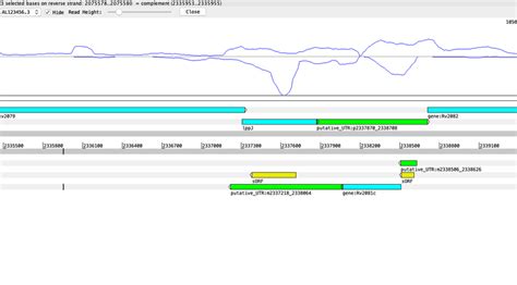 5 And 3 Utrs For Rv2081c Green Bars Are Overlapped By Predicted Download Scientific Diagram