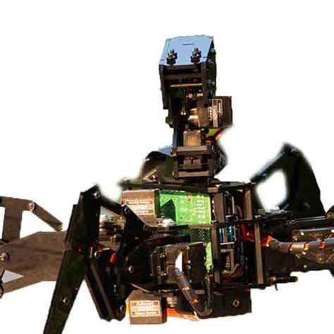 stem quadruped spider raspberry pi robot python programming mobile app lonten tech