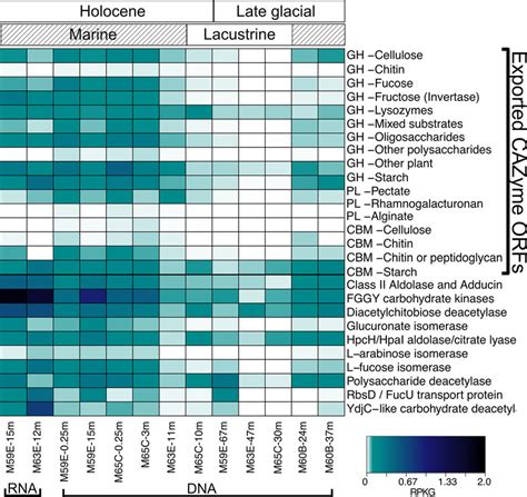 Abundances Of Orfs Which Putatively Encode Carbohydrate Degrading