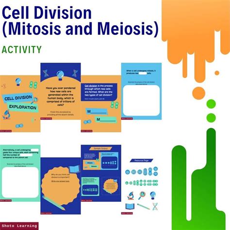 Mitosis Vs Meiosis Poster Visual Guide To Cell Division