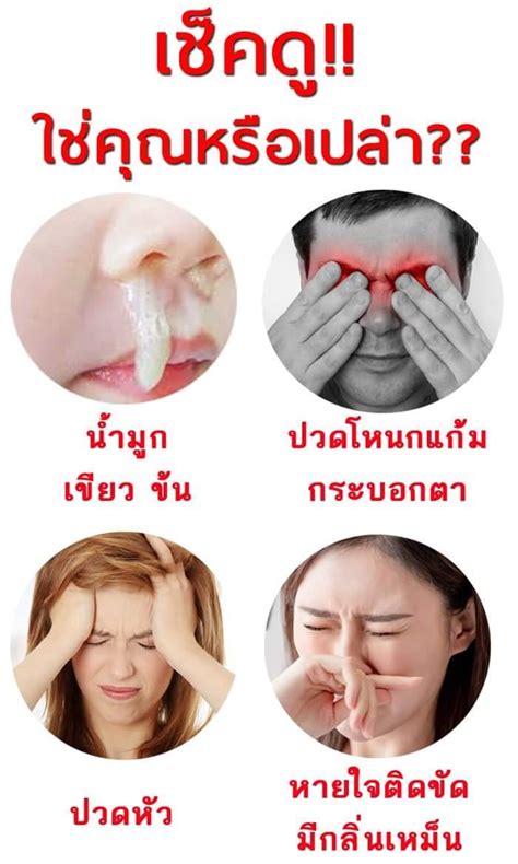 Balance U Core จบทุกปัญหา เป็นไซนัส ต้องรู้