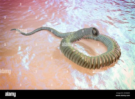 Medical Symbol Guinea Worm At Jake Spragg Blog