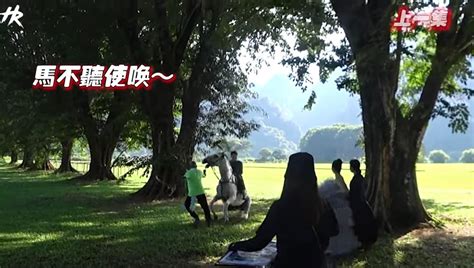 朱浩仁拍婚纱照意外坠马 心有余悸晒右腿伤痕