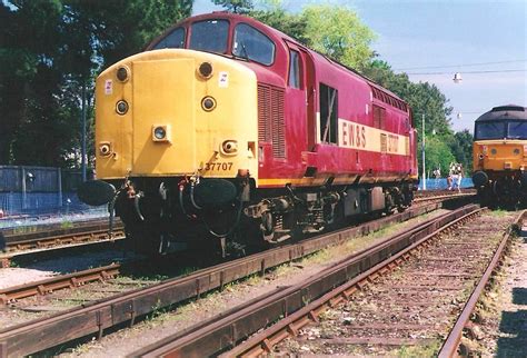 Class 377 Class37 Growlers