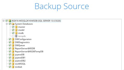 performing backup for microsoft sql server []