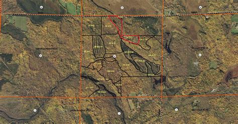 Regenerating Northern Red Oak After Salvage Using Bud Caps Cages And