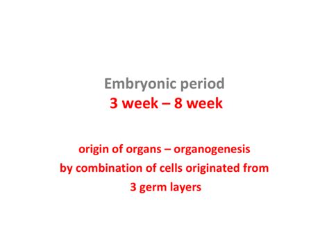 Segmentation Ectoderm Mesoderm
