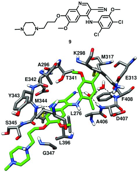 2d Structure Of 9 And X Ray Structure Of C Src Kinase In Complex With 9 Download Scientific