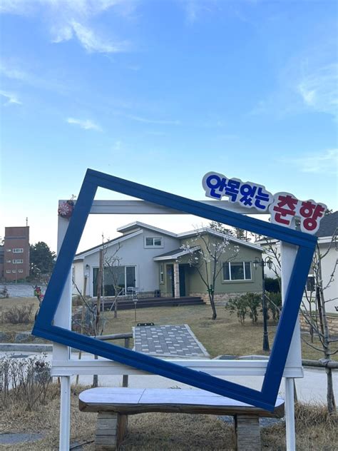 강릉 여행 숙소 추천 안목해변 근처 깔끔한 강릉 독채펜션 네이버 블로그