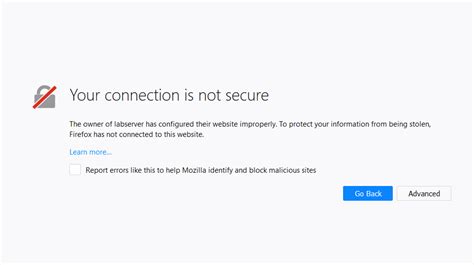 Unit Testing Firefox Browser Insecure Certificate Selenium C