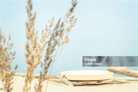 둥근 베이지 색 플랫폼 연단 하얀 해변 모래에 마른 나무 나뭇 가지와 전경에 건조한 구부러진 식물이 있습니다 화장품 또는 제품 프리젠 테이션을위한 최소한의 창조적 인 구성