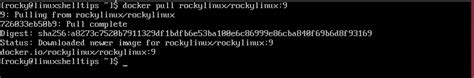 How To Install And Use Docker On Rocky Linux