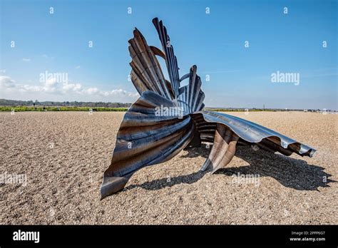 Scallop Shell On The Beach Between Aldeburgh And Thorpeness A Striking Tribute To Benjamin