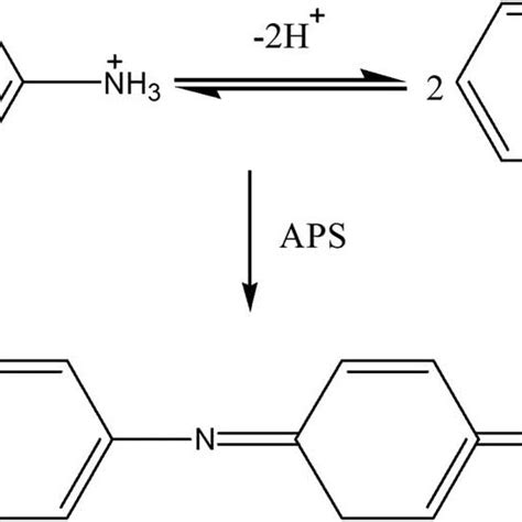 Reaction Equation Graph Of Polymerization Process Of Pani Download Scientific Diagram