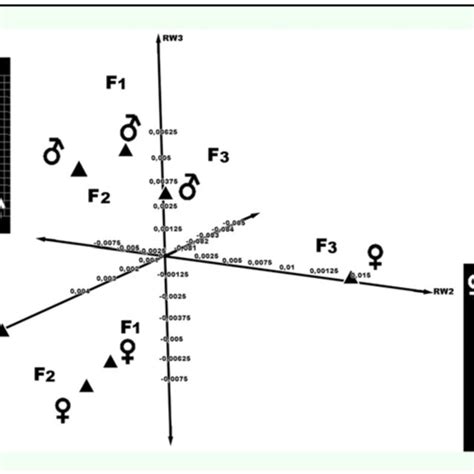3d Dispersion Plot Showing The Relative Positions Of The Different