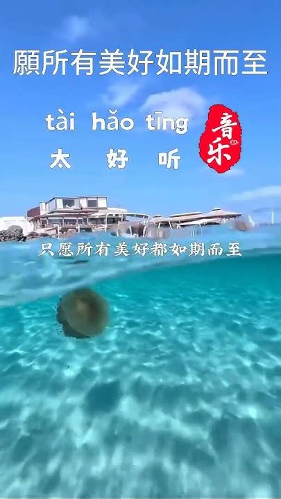 台湾歌手韩宝仪经典情歌《願所有美好如期而至》唱火了 伤感动听 催人泪下 Youtube