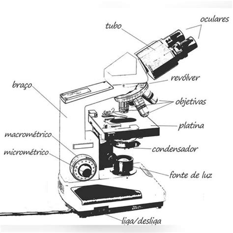 Taís Silva Posted On Linkedin