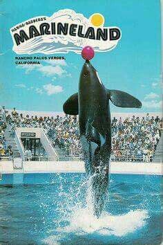 Marineland In Palos Verdes Ca Hanna Barbera Nostalgia Rancho Palos