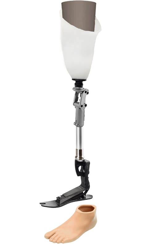 Tfp Single Socket Ossur Iceross Transfemoral Locking Liner Ossur Op5