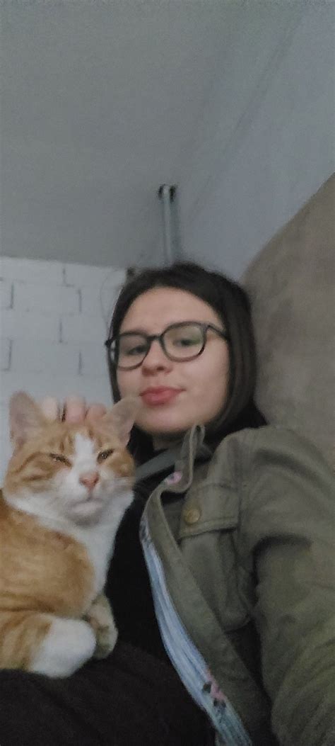 Cute And Playful Kitten