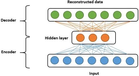 Autoencoder The Encoder Maps The Data To Hidden Representation The
